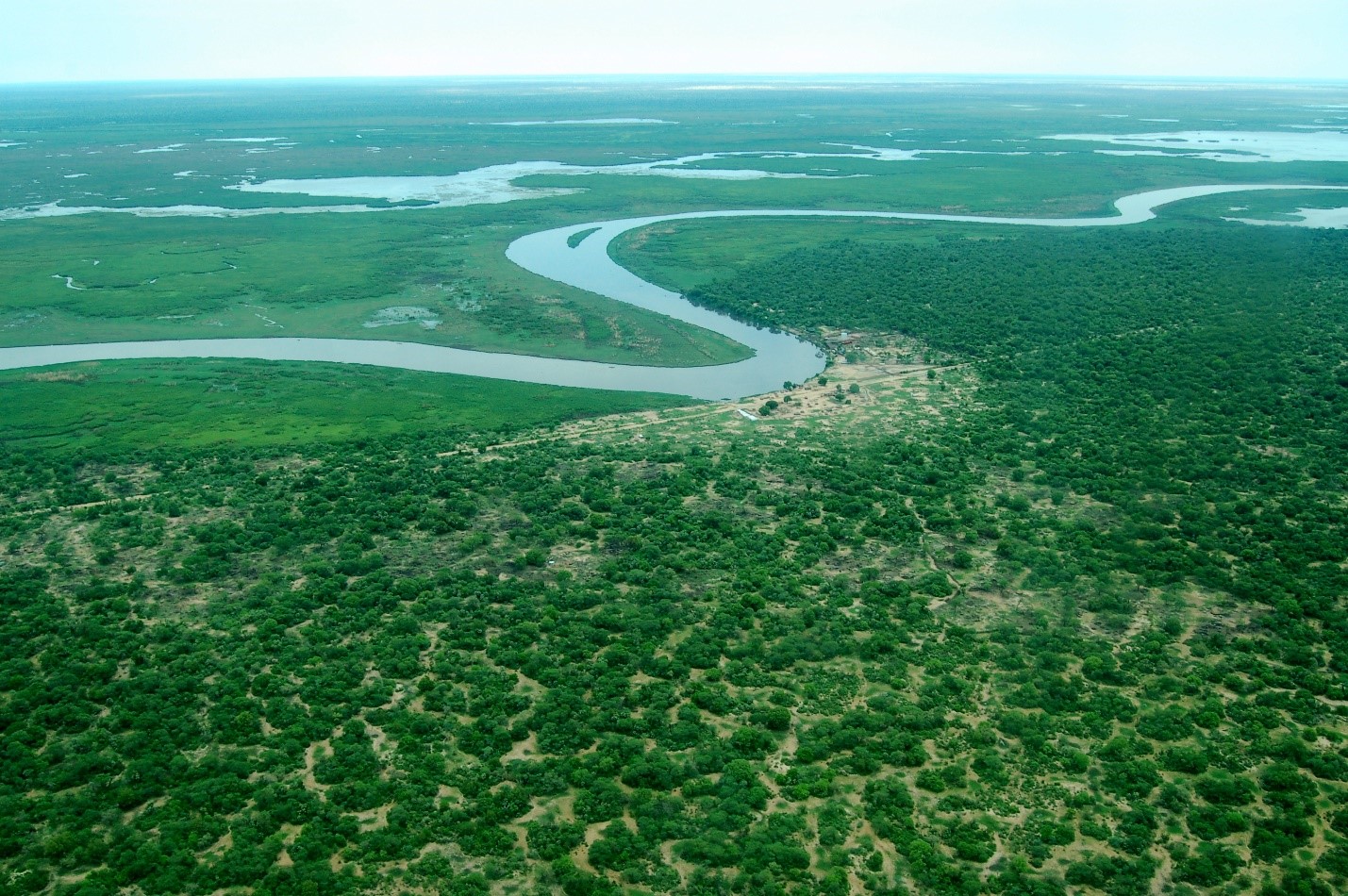 Government, UNESCO vows to save Sudd Wetlands – One Citizen Daily