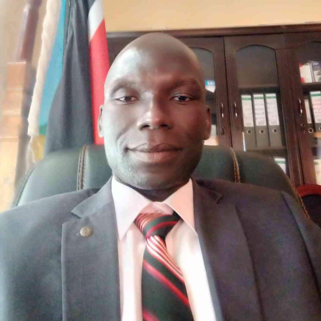 Morobo County in frantic move to stop illegal logging – One Citizen ...